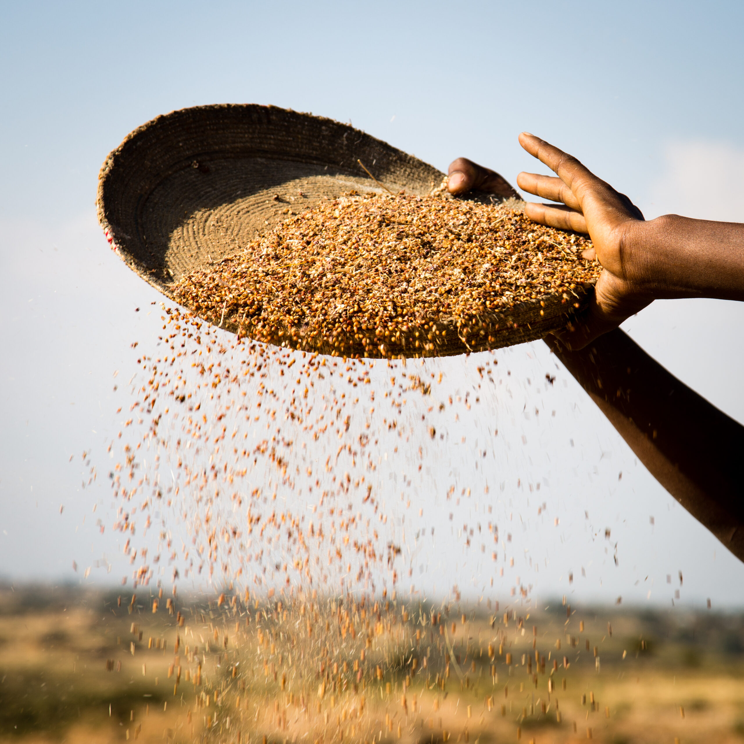 Winnow Wealth - Our Services